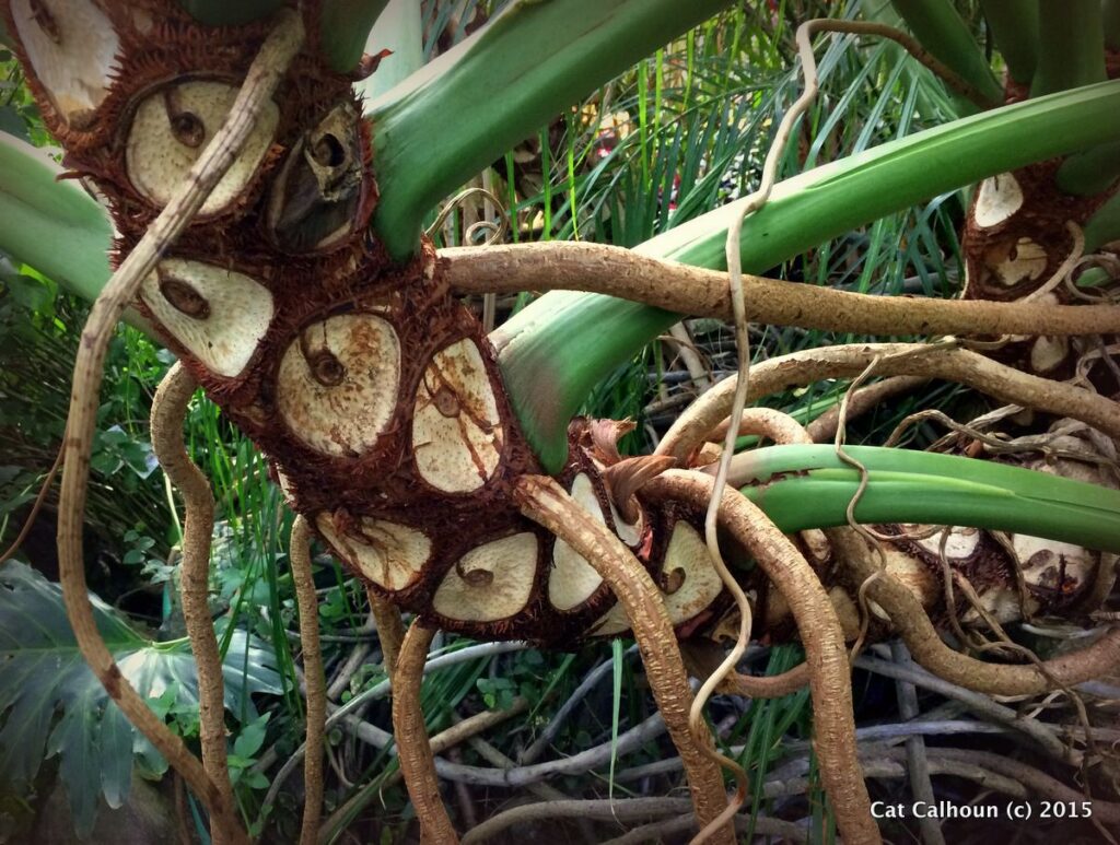 [EXPOSED] Scientists Are Hiding 21 Alien Plants From You! - LoneMind