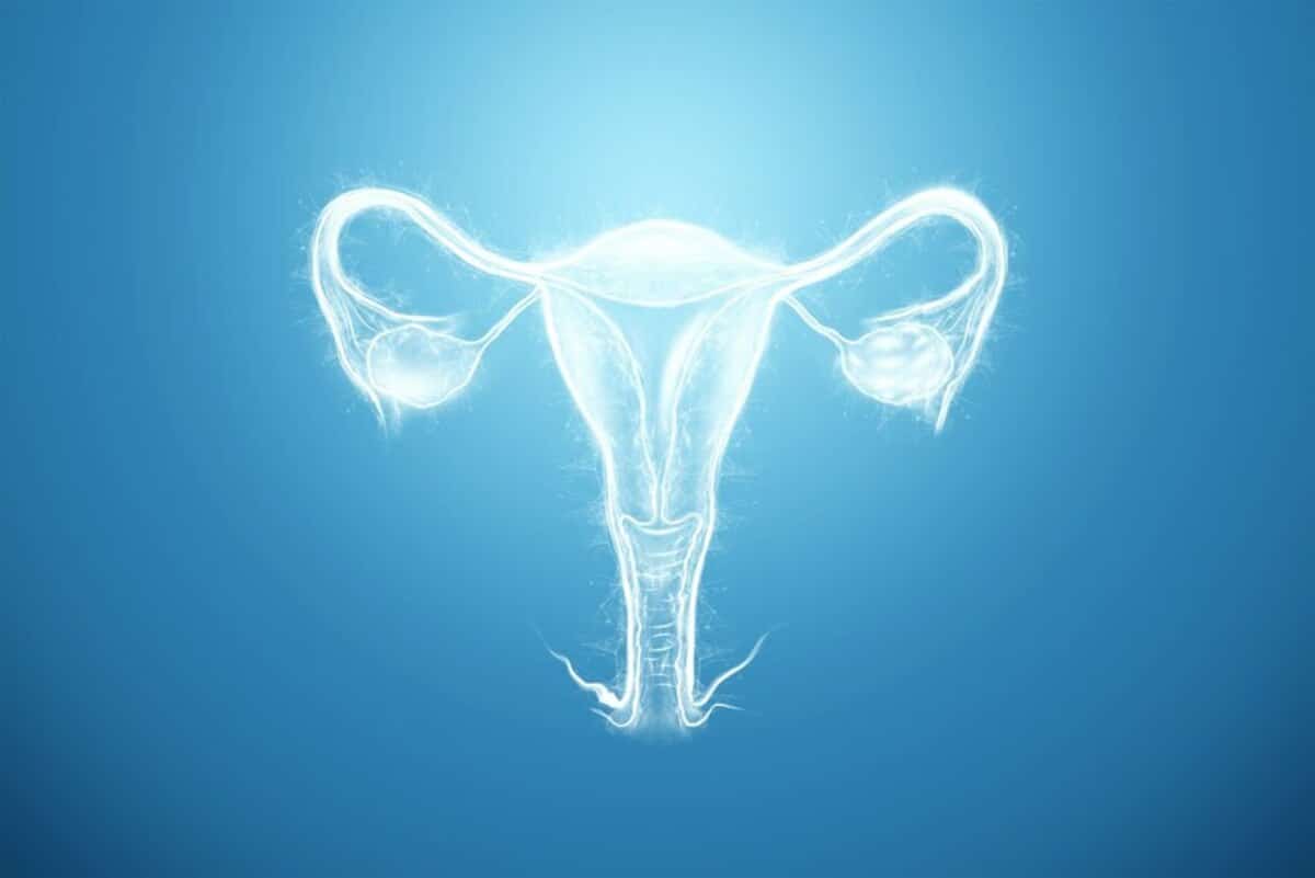What Is The Difference Between Replication And Reproduction All You