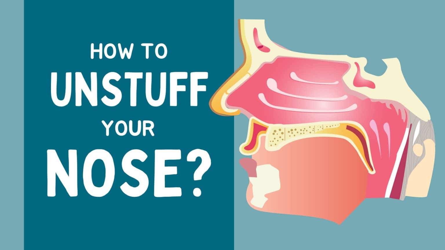 Nasal Congestion Remedies: How To Unstuff Your Nose? - LoneMind