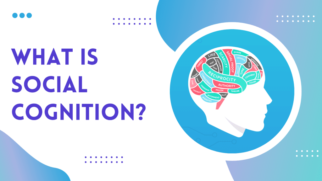 What Is Social Cognition? What Are The Main Theories Of Social ...